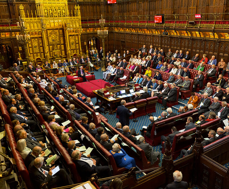 What is the House of Lords and how does it work? A Pagefield guide ...